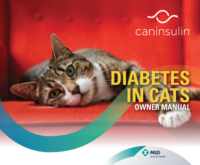 Resources and information for cats with diabetes | Caninsulin
