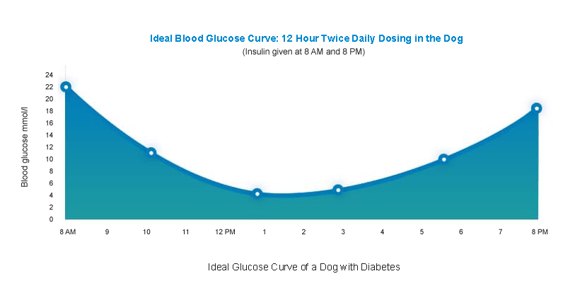 Glucose Curves for Dogs | Caninsulin